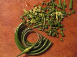 Living Systems Thinking | Pattern Mind by Joel Glanzberg